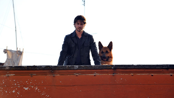 エピソード情報｜ダヴィデ＆レックス～ローマ警察シェパード犬刑事｜アクションチャンネル ～日本唯一のアクション海外ドラマ専門チャンネル～（旧AXN）